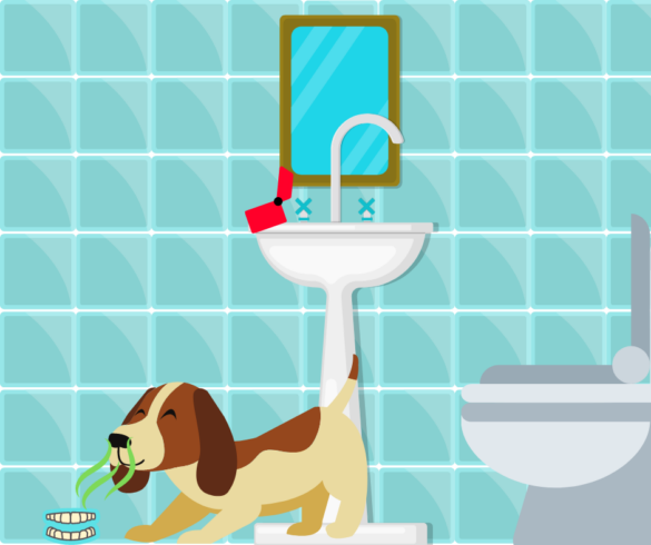 Why Do Dogs Eat Retainers? - SportingSmiles Dental